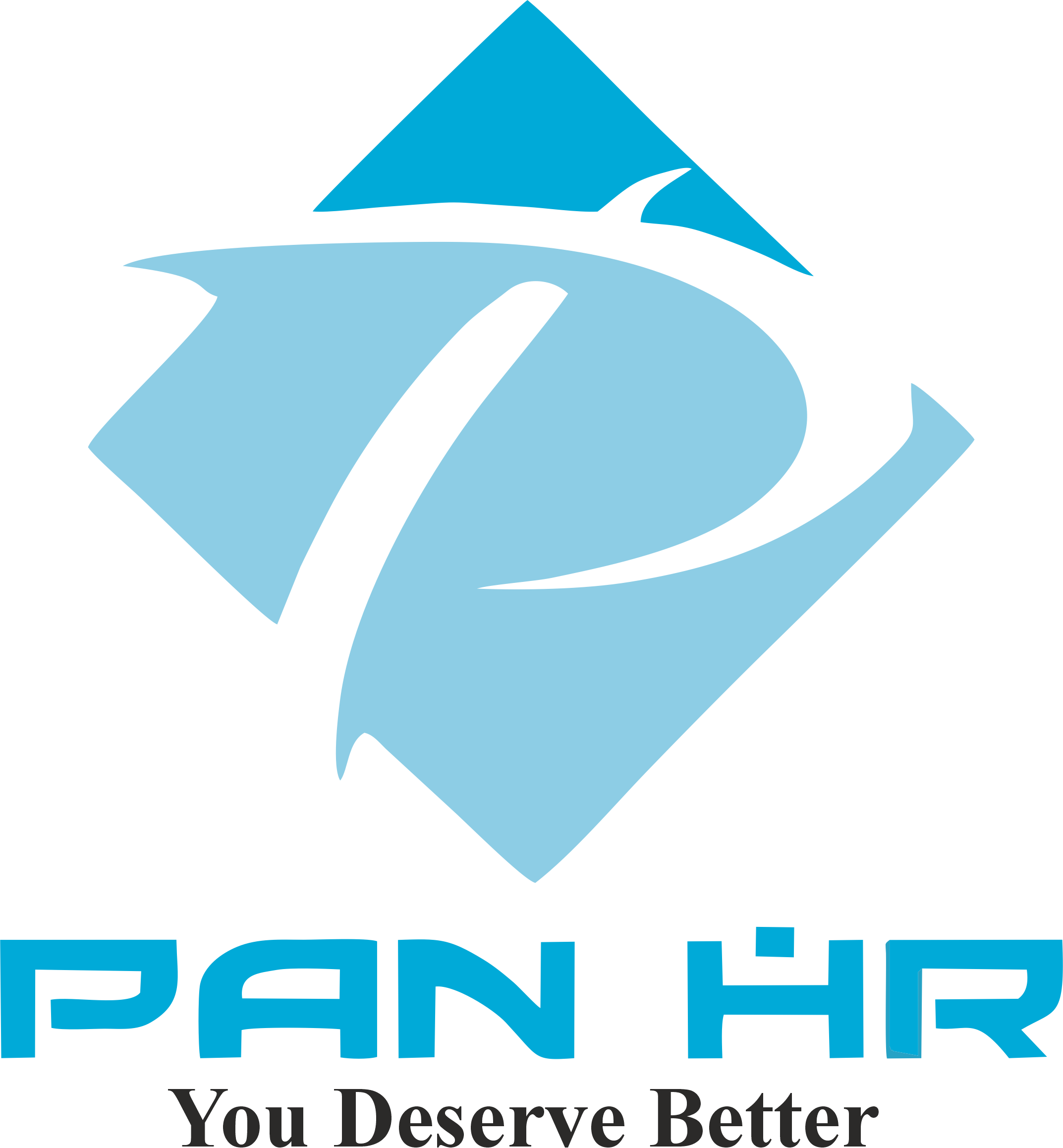 PANHR SOLUTION LTD